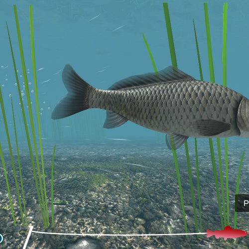 Reel Fishing: Days of Summer Video Game – Natsume Games